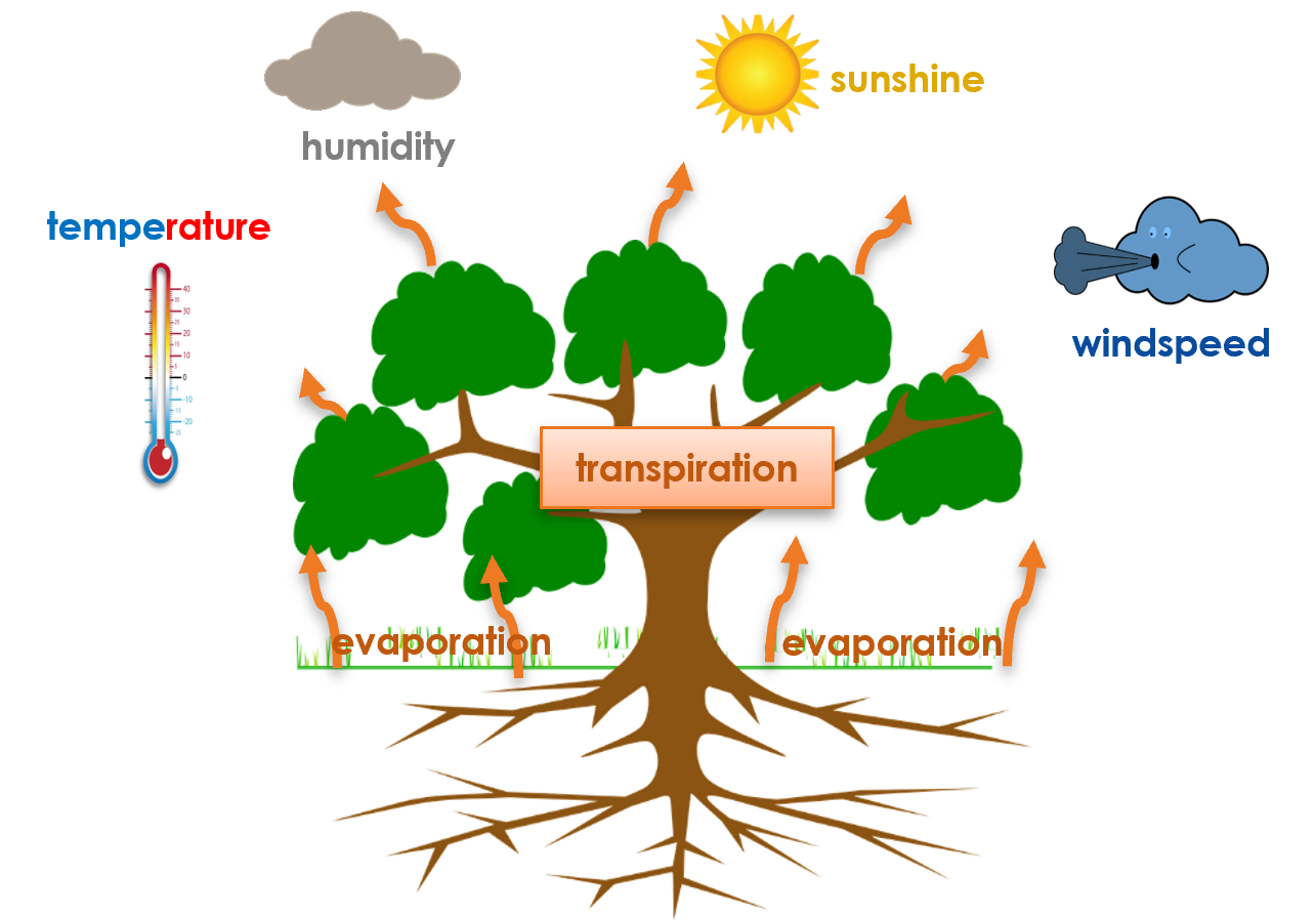 TR04: Water Needs on a Farm - LearningHub - AGRIWATER