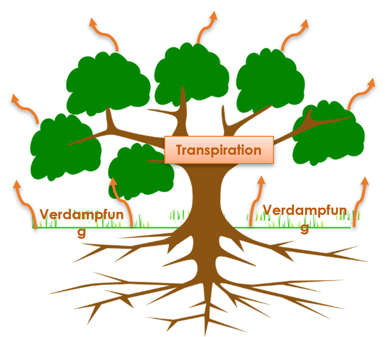 TR04: Wasserbedarf im Betrieb – LearningHub – AGRIWATER